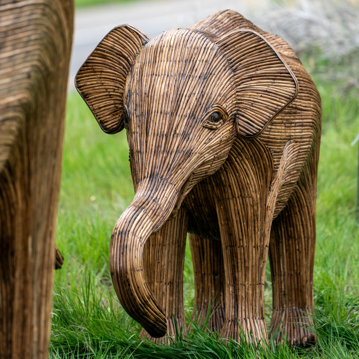 Buy An Elephant | The Great Elephant Migration