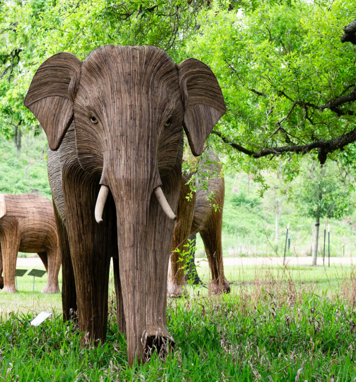 Buy An Elephant | The Great Elephant Migration