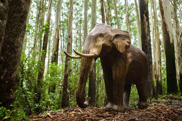 Buy An Elephant | The Great Elephant Migration
