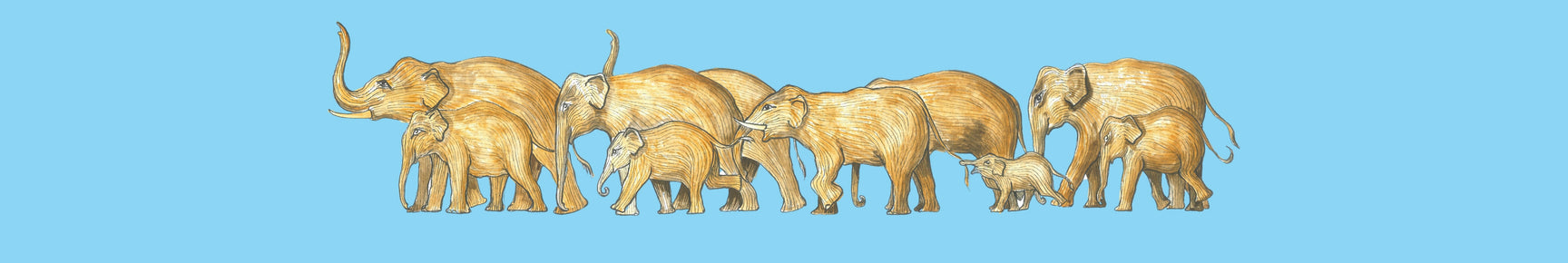 The Great Elephant Migration | A Coexistence Story