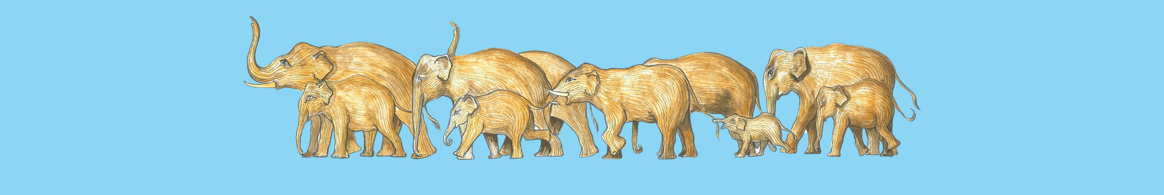 The Great Elephant Migration | A Coexistence Story