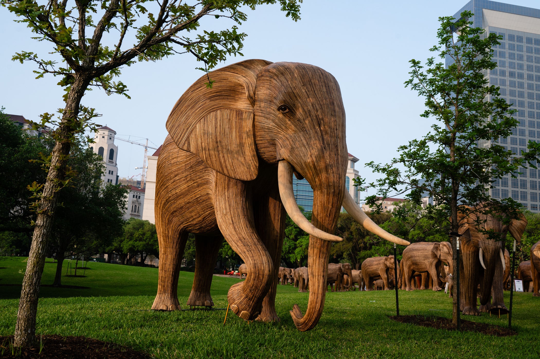 Buy An Elephant | The Great Elephant Migration