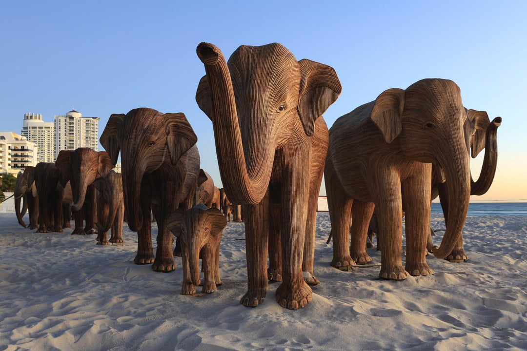 Buy An Elephant | The Great Elephant Migration