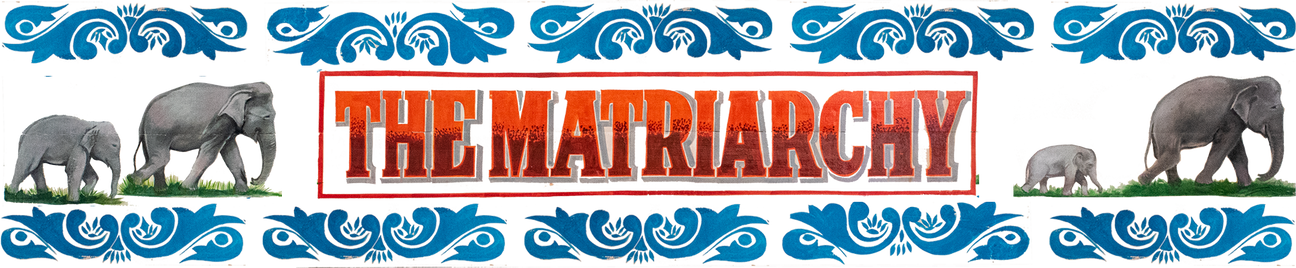 Genevieve Britton – The Great Elephant Migration