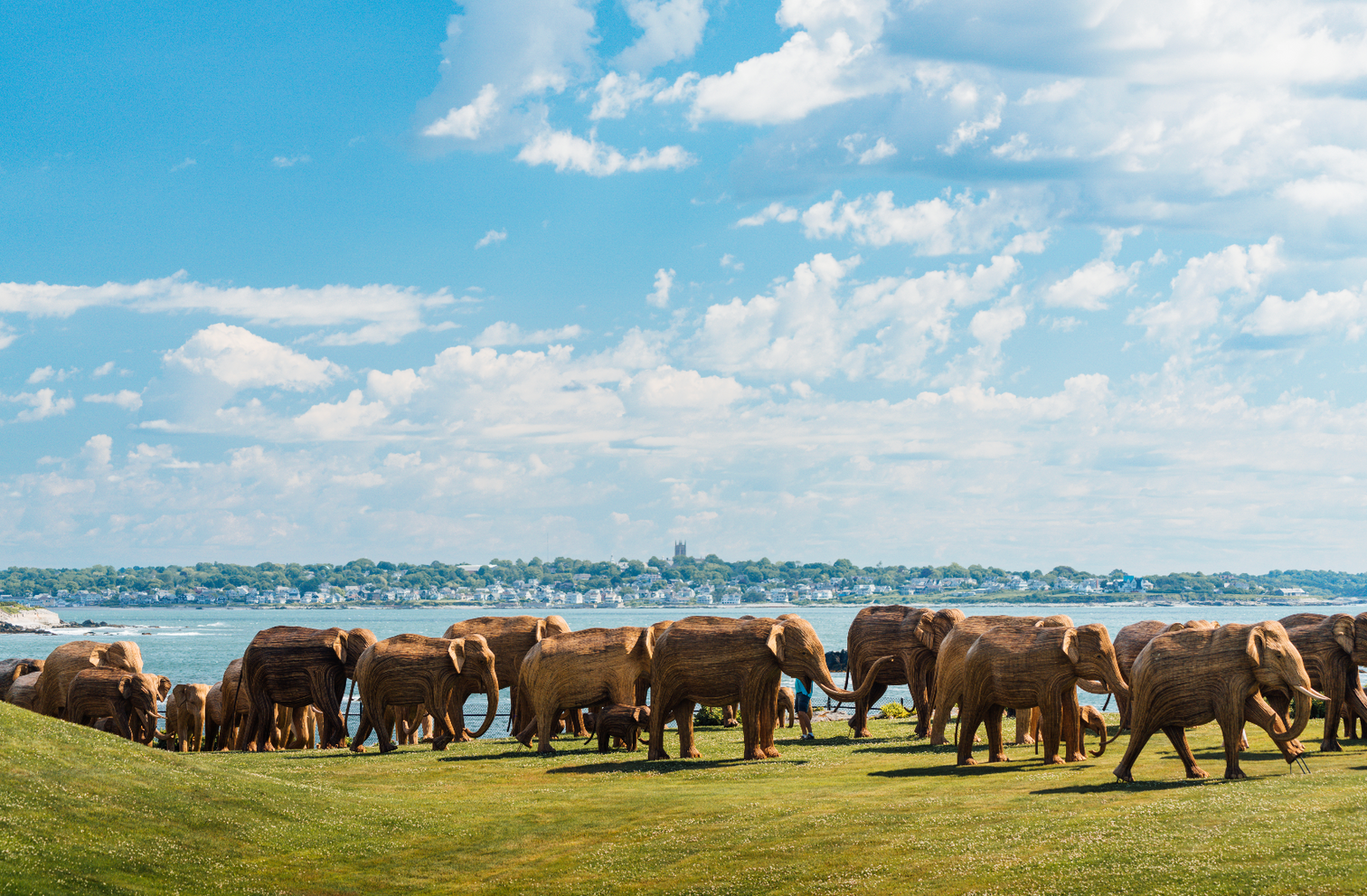 Buy An Elephant | The Great Elephant Migration