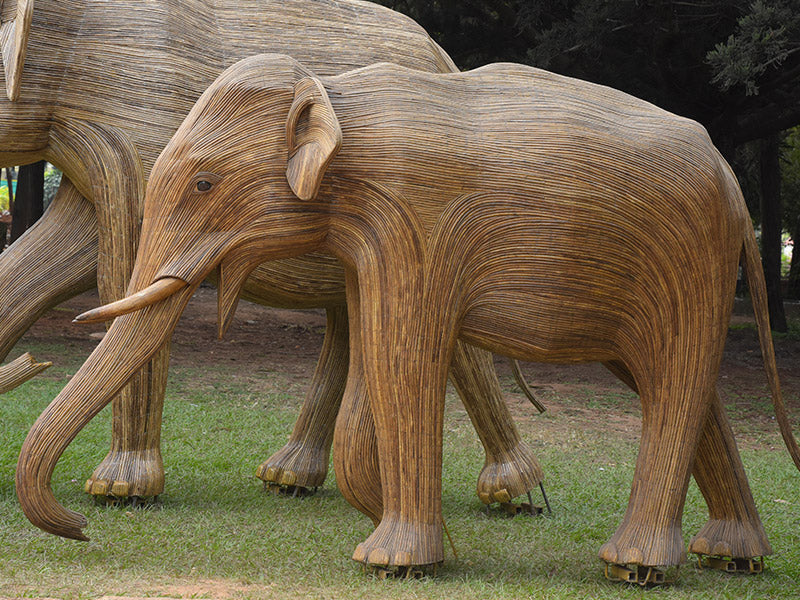 Buy An Elephant | The Great Elephant Migration