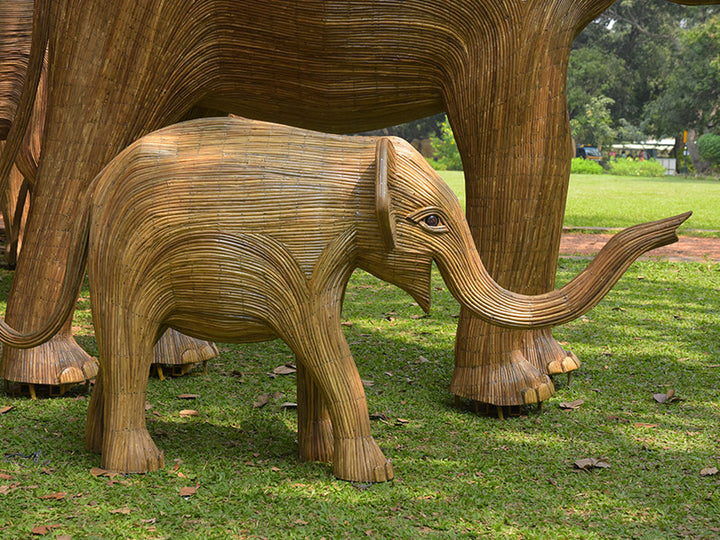 Buy An Elephant | The Great Elephant Migration
