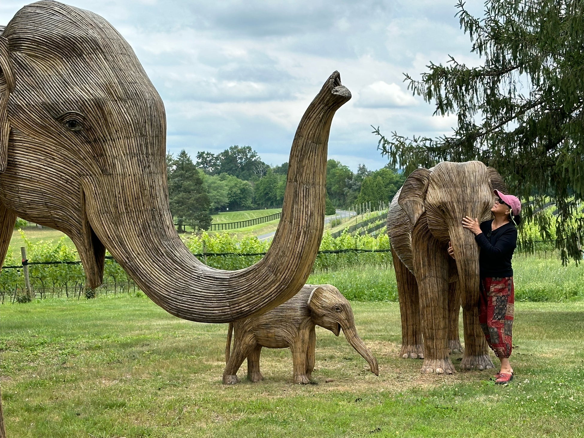 Philanthropists – The Great Elephant Migration