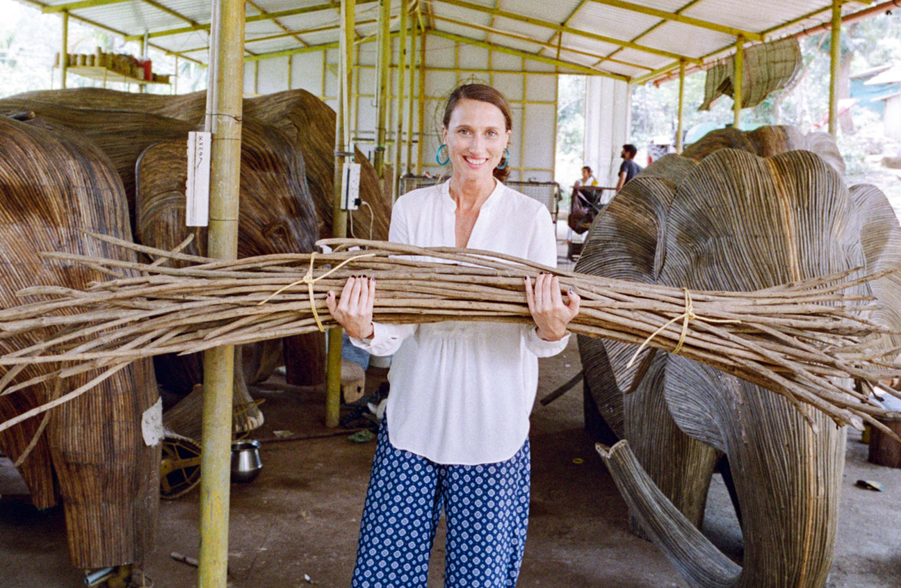 Elephant Family | The Great Elephant Migration