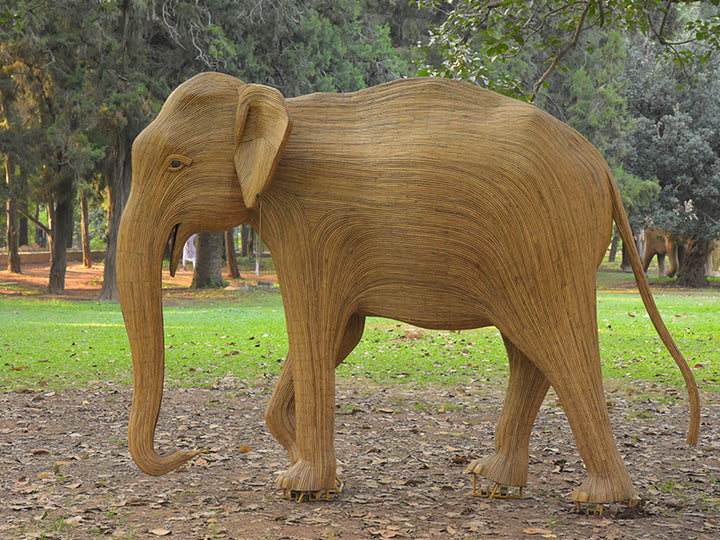 Buy An Elephant | The Great Elephant Migration