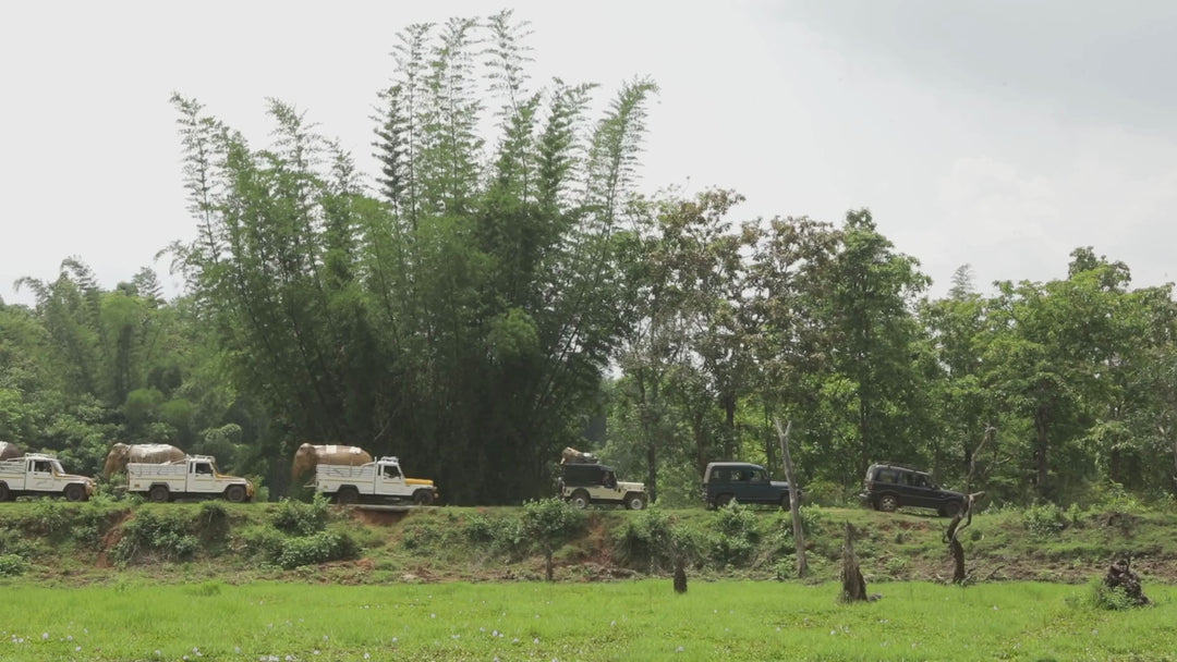 The Great Elephant Migration | A Coexistence Story