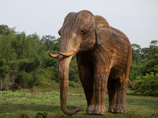 Buy An Elephant | The Great Elephant Migration