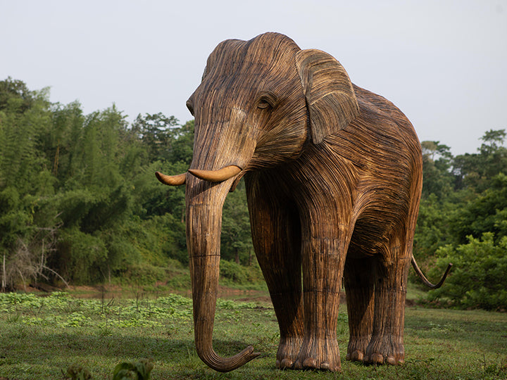 Buy An Elephant | The Great Elephant Migration